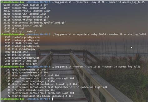 [solved] how to run a sequence of bash scripts one at a 9to5answer