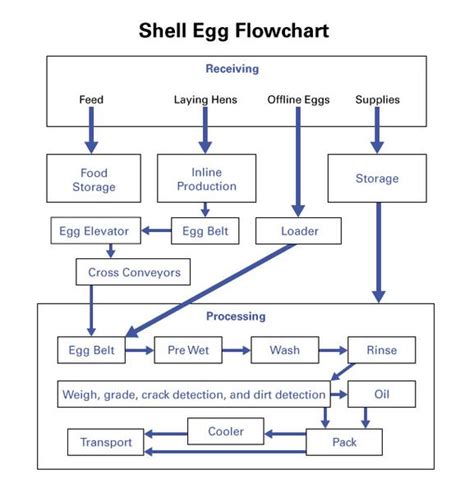 haccp food flow chart video bokep ngentot