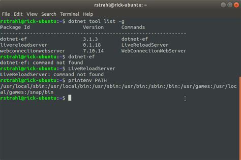 global dotnet tool install not finding global tools after installation