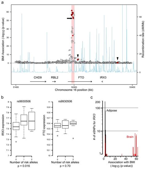 Obesity Associated Variants Within Fto Form Long Range Functional
