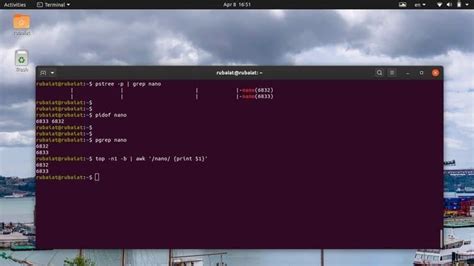 pin on linux