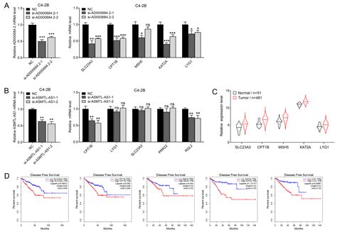 Ijms Free Full Text Identification Of Long Noncoding Rnas That