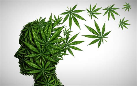 Is Your Cannabis Getting You Too High Use Your Dna To Manage Thc Side