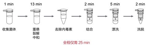 Fastpure Endofree Plasmid Mini Kit 柱式法提取 产品中心 南京诺唯赞生物科技股份有限公司