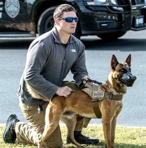 K9 Figo Cullman County Sheriffs Office Alabama
