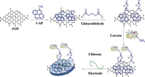 Graphene Oxide Based Biosensors Intechopen