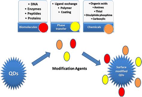 Modification Agents Of Qds Surface Download Scientific Diagram