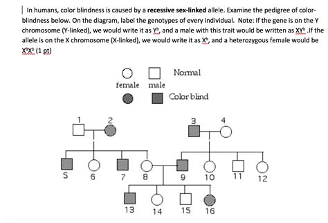 science media guru colour blindness in humans