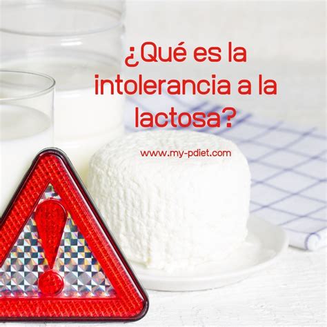 ¿qué Es La Intolerancia A La Lactosa My Nutrición