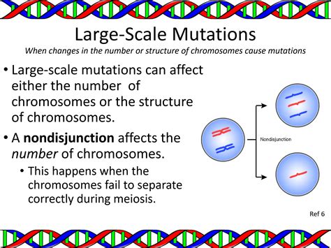 Genetics Mutations Powerpoint Slideshow Teaching Resources