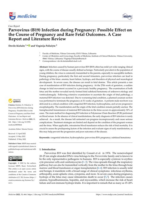 Pdf Parvovirus B19 Infection During Pregnancy Possible Effect On