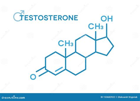 Testosterone Hormones Molecular Formula Sex Hormone Symbol Stock