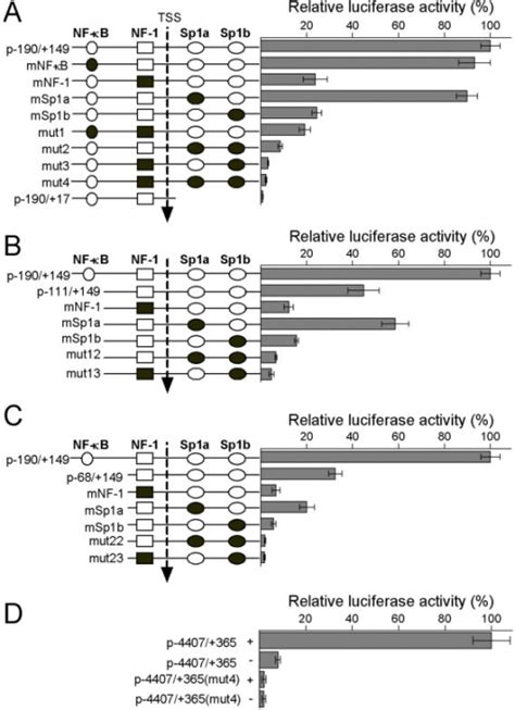 Mutation Analysis Of Transcription Factor Binding Sites Open I