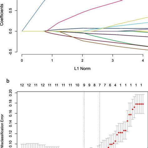 Feature Selection Using The Least Absolute Shrinkage And Selection