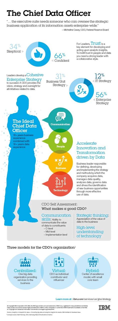 Infographic The Chief Data Officer Master Data Management Data