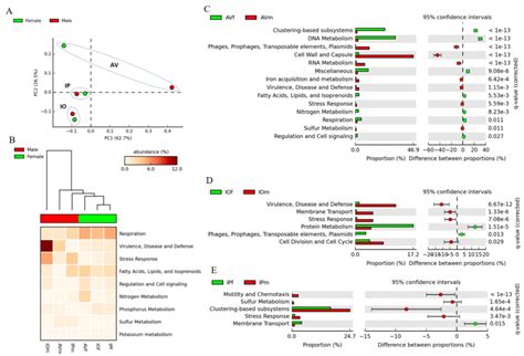 comparison of the functional profiles of tick gut microbiota between