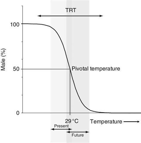 3 Generalised Scheme Of Temperature Dependent Sex Determination In Sea