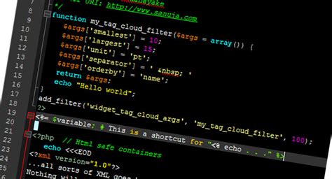 customizing the editor for coding sanuja senanayake