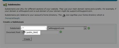 how to set up wildcard subdomains dns web hosting hub
