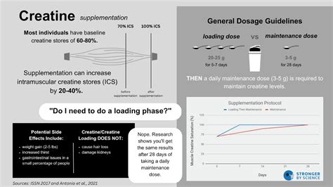 Creatine Loading In 2024 What You Should Know