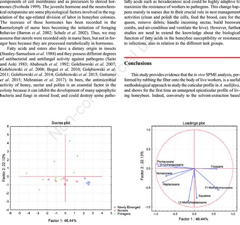 principal component analysis scores plot left and loadings plot