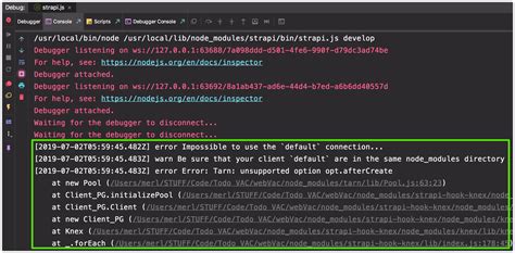 output during debugging not showing · issue 76445 · microsoft vscode