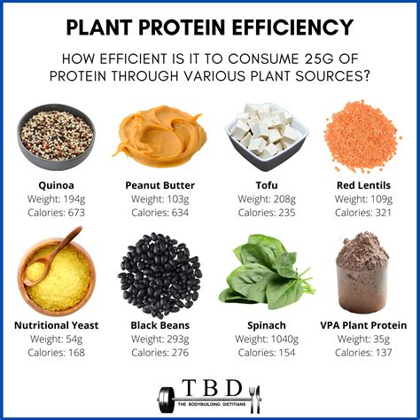 Vegan Protein Sources How Viable Are They — The Bodybuilding Dietitians