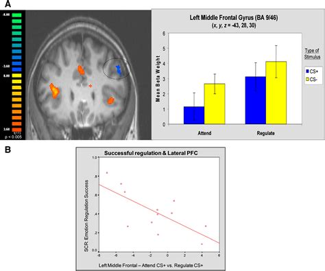 Neural Circuitry Underlying The Regulation Of Conditioned Fear And Its