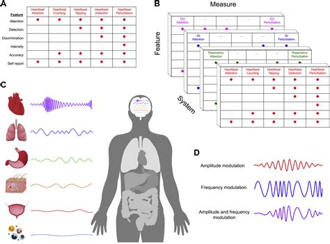 Interoception And Mental Health A Roadmap Biological Psychiatry