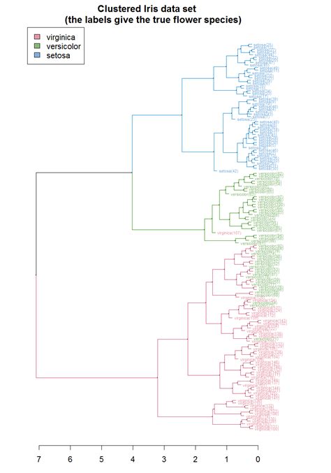 dendrogram wikipedia