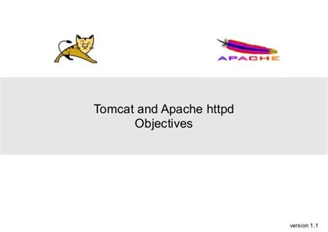 tomcat and apache d training