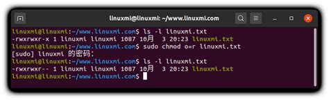 linux修改权限命令chmod用法示例 linux迷
