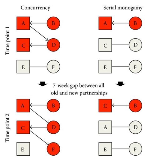 The Differential Spread Of Trichomonas Vaginalis In Two Different