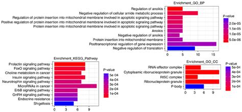 Functional Annotation And Pathway Enrichment Analysis Of Targets For