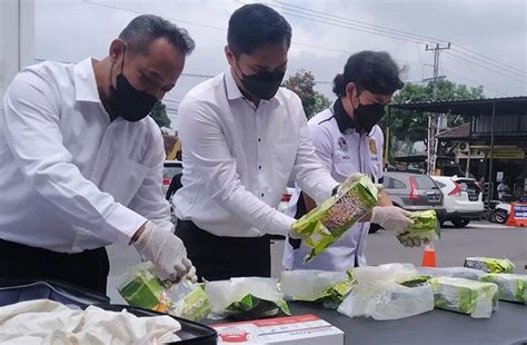 Polres Sleman Musnahkan Sabu Sabu 9 944 Kilogram Disita Dari Jaringan