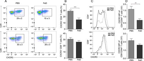 The Expression Of Cxcr3 On Splenic Cd4 T Cells Is Decreased By