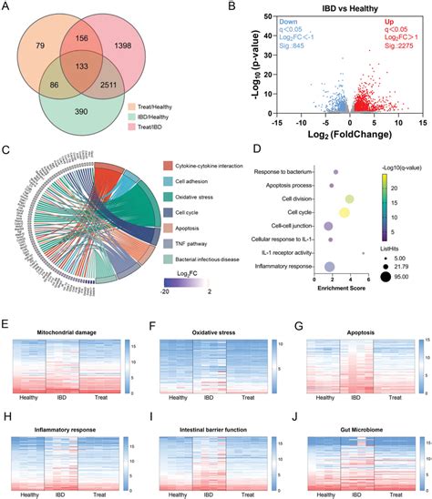 Transcriptomic Analysis A Venn Diagram Of Whole Transcriptome Rna‐seq