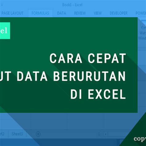 jenis jenis data dalam microsoft excel