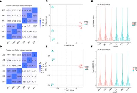 Frontiers Combined Analysis Of Transcriptome And Metabolome Reveals