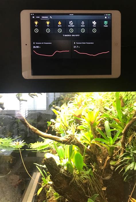 automated terrarium share your projects home