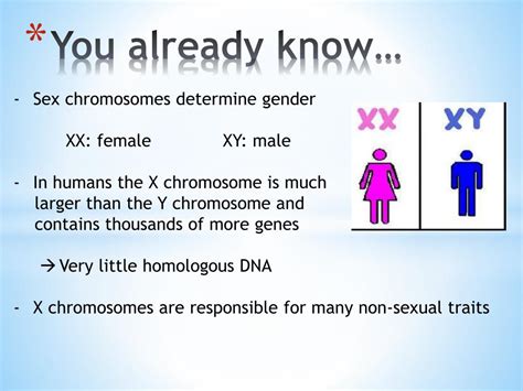 ppt sex linked inheritance powerpoint presentation free download