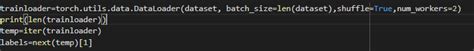 how to load labels a small dataset in a single batch pytorch vision