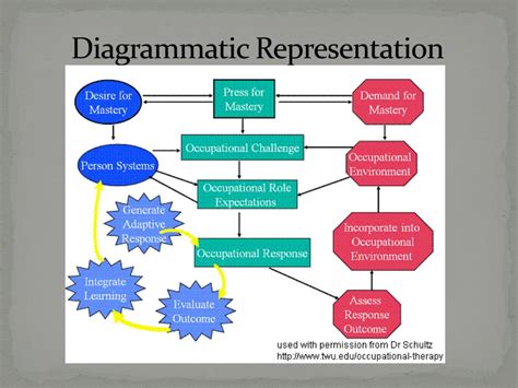 Ppt Theory Of Occupational Adaptation Schultz 2009 Schkade And Schultz