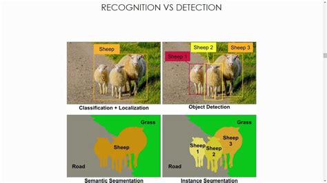 [view 30 ] image classification vs object detection vs