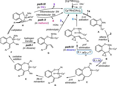Proposed Reaction Pathways Solvent Controlled Diversified C H