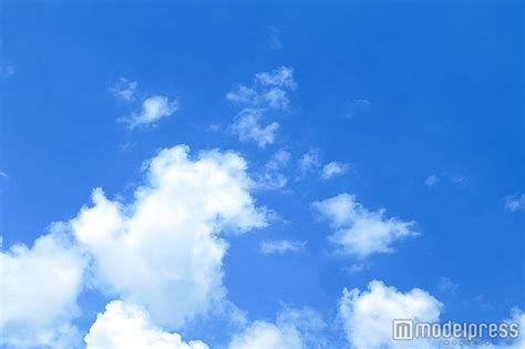 トニセン井ノ原快彦・坂本昌行・長野博「先輩たちが作ってきたものは嘘ではない」新たな船出から今後の目標語る 2024年12月22日