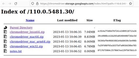survival8 resolving selenium error for webdriver and chrome browser