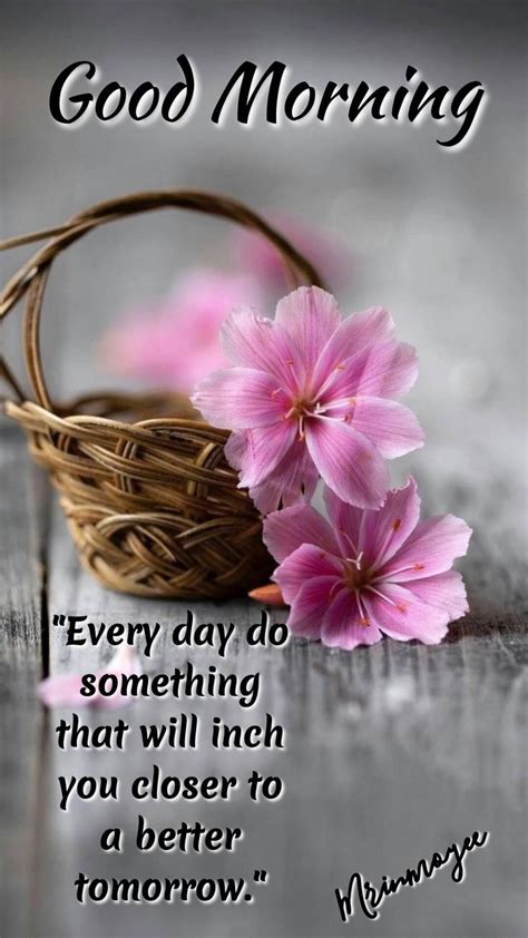 An Exceptional Compilation Of Good Morning Quotes And Images In Full