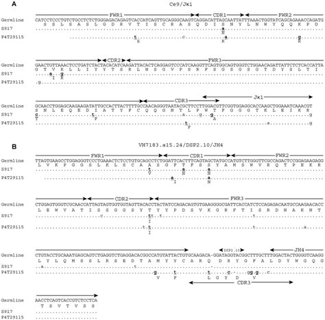 Sequence Alignments Of Vl A And Vh B Genes From Recurrent Pairs